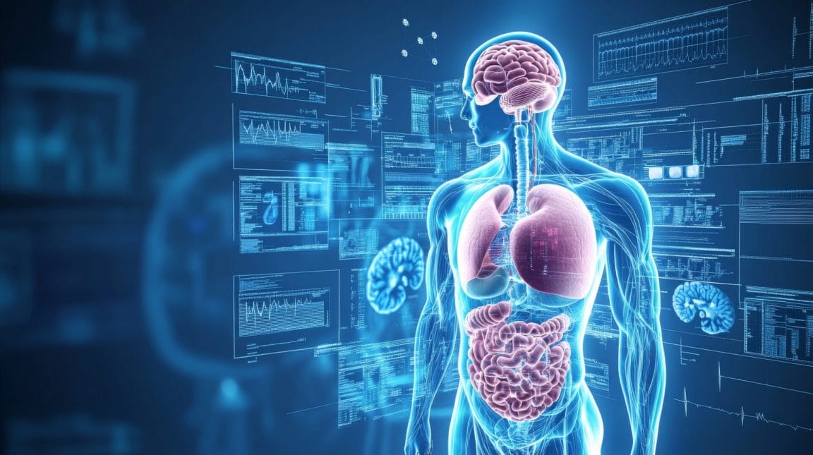 Full Body Health Checks: Detecting Risks | Echelon Health